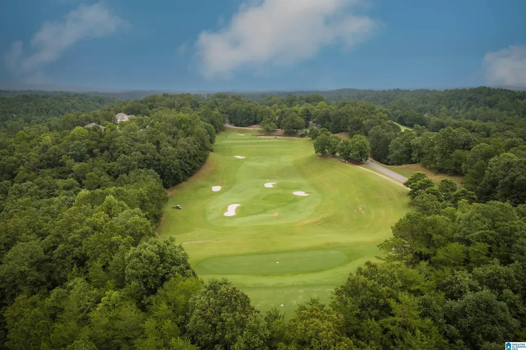 7305 Kings Mountain Circle, Vestavia Hills, AL 35242 | 21439954 ...