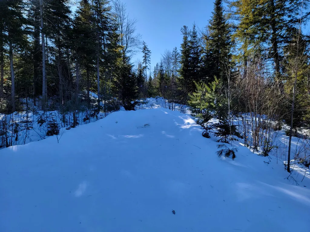 58 Vance Place, Corinth, VT 05039 | 4943669 | LindeMac Real Estate