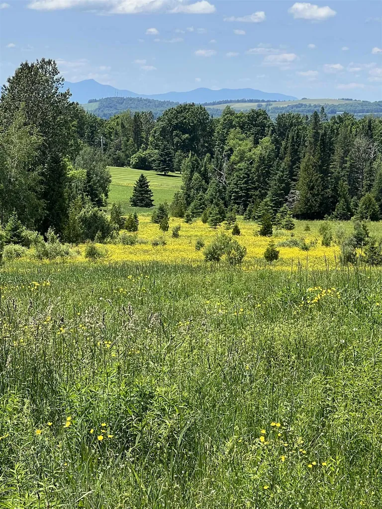 00 Page Hill Road, Holland, VT 05830 | 4958430 | CENTURY 21 Farm & Forest