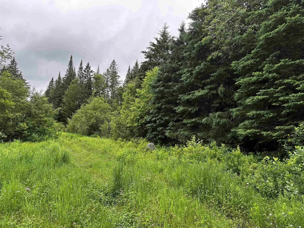 00 Cole Road Walden, VT Vermont| Real Estate Agency Serving St ...