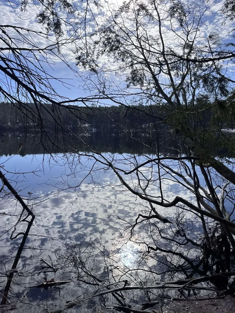 Bennington NH Real Estate | MLS # 4990548