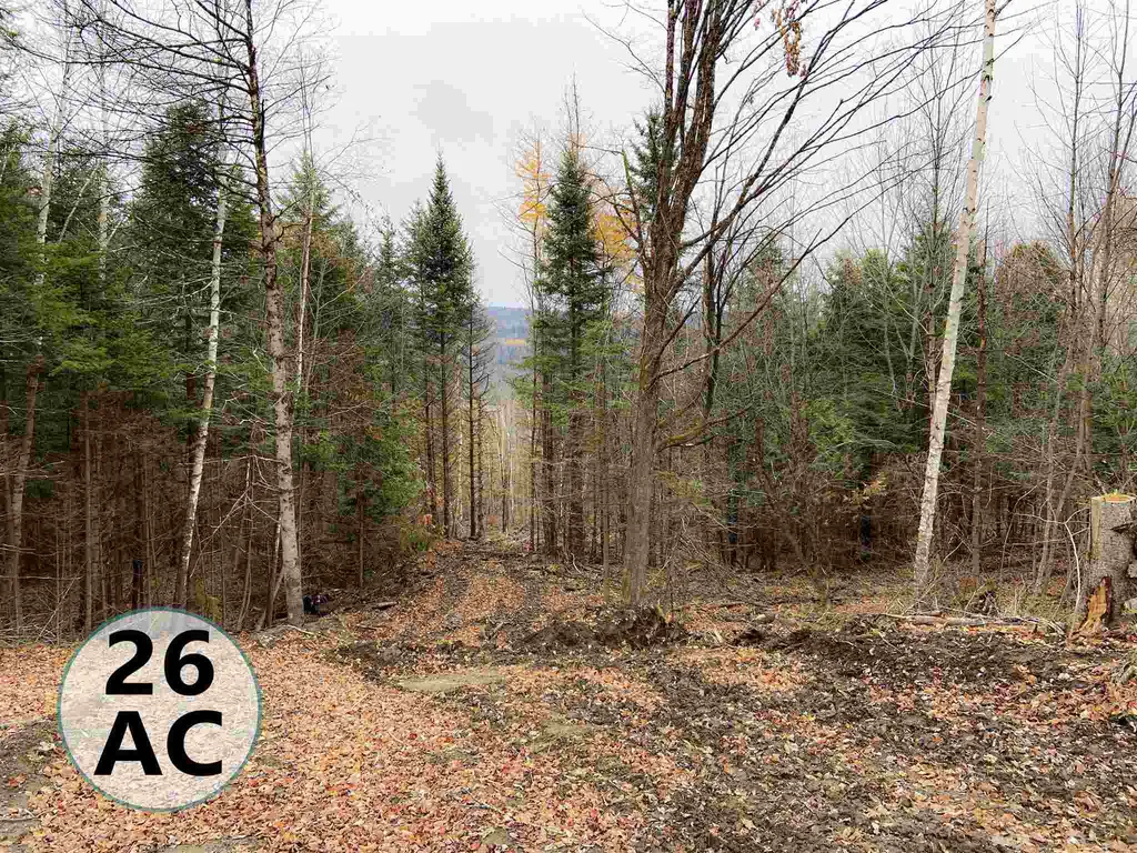 000 Vertical Mile Road Wheelock, VT