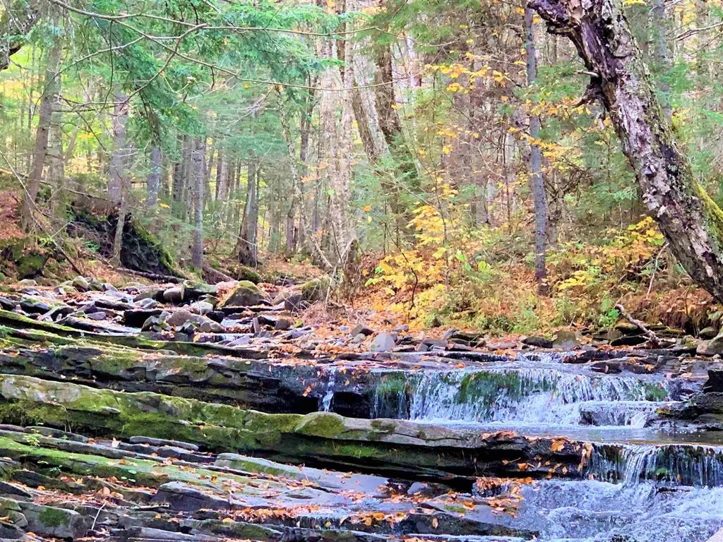 0 Route 122 Sheffield, VT