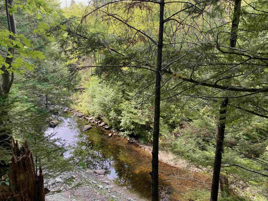 299 Halls Brook Road, Groton, NH 03266 | 4827501 | Old Mill Properties