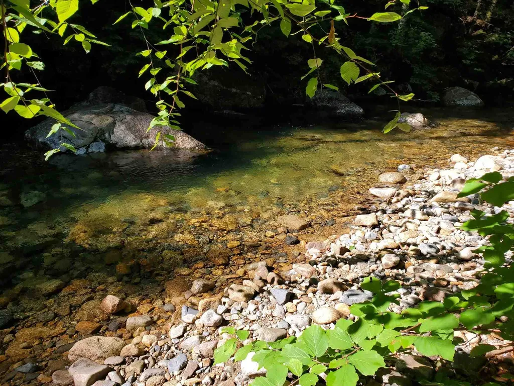 59 Conner Pond Road, Ossipee, NH 03814 | 4874100 | Great Island Realty