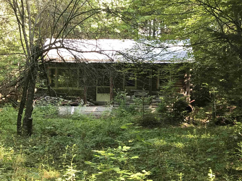 81 Chaney Drive, Eden, VT 05653 | 4887015 | CENTURY 21 Farm & Forest