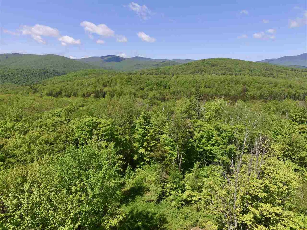 1480 Prickly Mountain Road Warren, VT