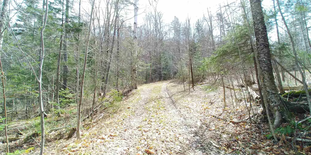 1032 Heath Road, Corinth VT Real Estate Listing | MLS# 4787542 Teamner