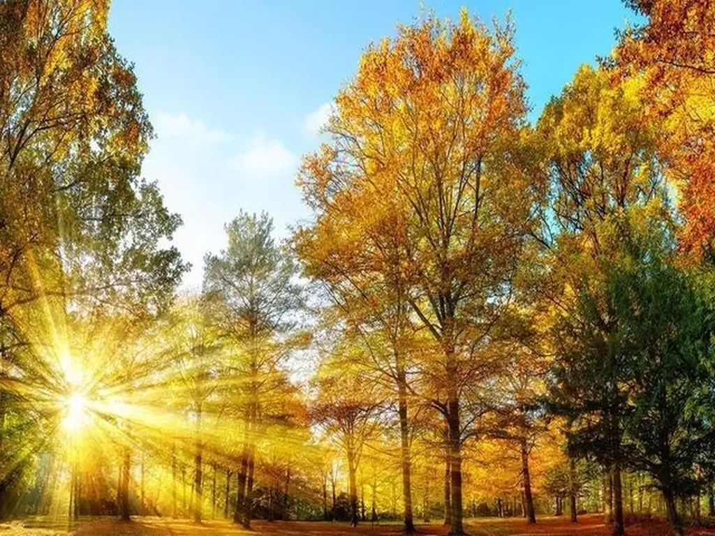 3195 Bridgewater Cove, Owensboro, KY 42303 | 93625 | Benchmark Realty, LLC